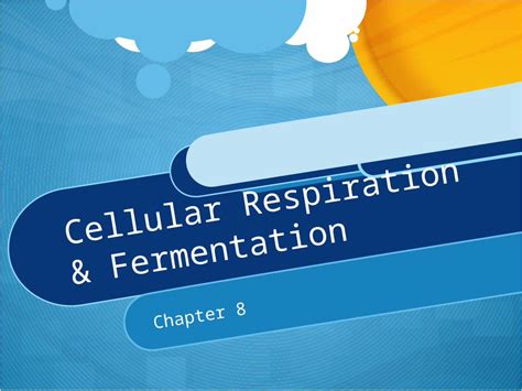 Pptx Cellular Respiration And Fermentation Chapter 8 Cell Respiration