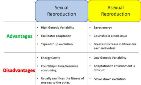 Biol 1362 Final Exam Flashcards Quizlet