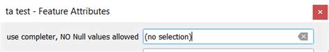 Completer In Value Relation Widget Does Not Work When Allow Null Value Is Enabled · Issue 45997