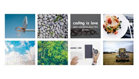 Image Hover Caption Sliding Effect