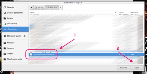 Yunohost Openvpn Se Connecter Au VPN Avec NetworkManager Memo Linux