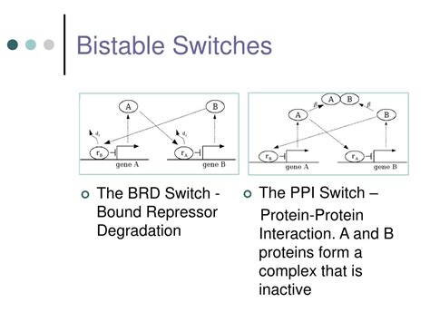 Ppt Deterministic And Stochastic Analysis Of Simple Genetic Networks