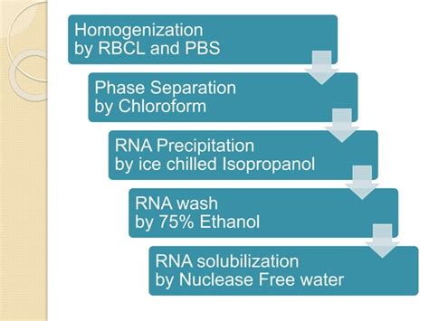 Dna And Rna Isolation Pptx