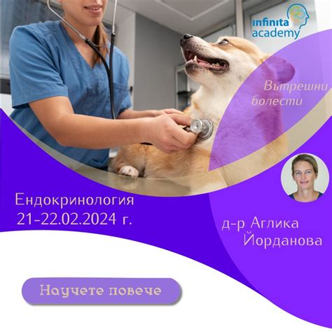 Infinita Ltd On Linkedin През Новата 2024 година Инфинита Академи стартира нов проект