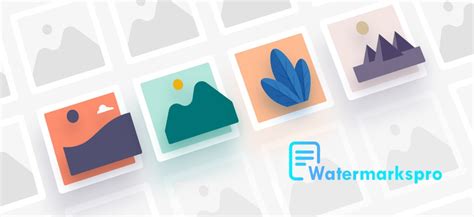 Types Of Photos Raster And Vector Watermarks Pro