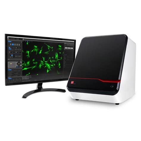 Imaging And Analysis Of 3d Cell Models Using The Celena X High Content