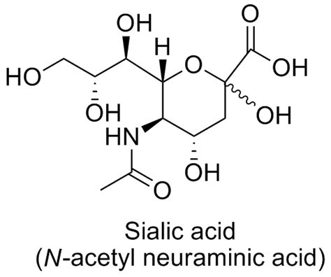Sialic Acid Alchetron The Free Social Encyclopedia