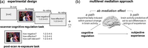 A Scanner Cognitive Regulation Task And Post‐scanner Ad Re‐exposure