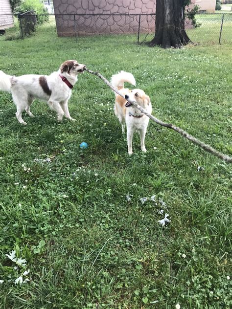 83 Best Assistant Branch Manager Images On Pholder Aww Pics And