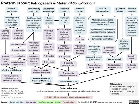 Preterm Labour Pathogenesis Maternal Complications Calgary Guide