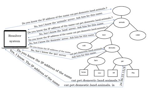Dns Server And Query Types Explained
