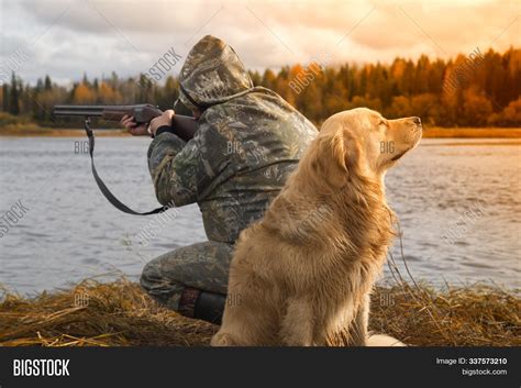 Hunting Golden Retrievers At Eugene Campbell Blog