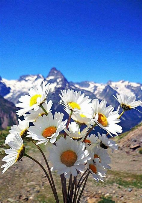 Днешният ден е с най вълшебните Цветовете на щастието