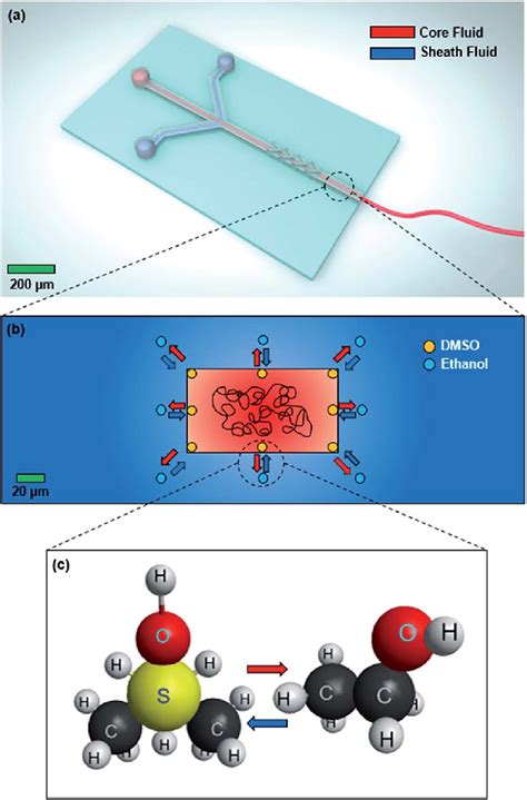 A Schematic Of The Experimental Setup Used For Microfluidic Fiber