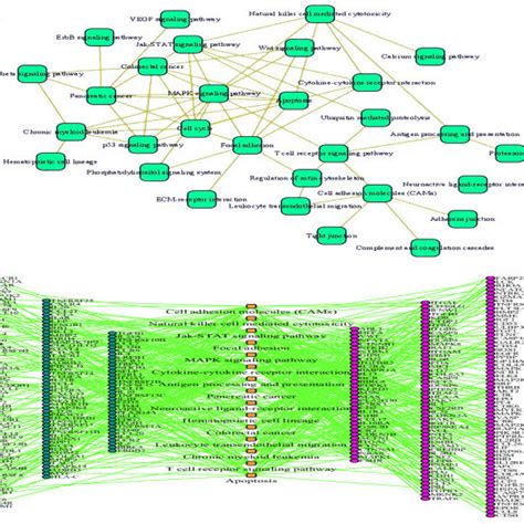 Pathway Pathway Interactions And Gene Pathway Relationships A Download Scientific Diagram