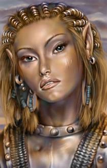 Jaheira Baldurs Gate Wiki Fandom