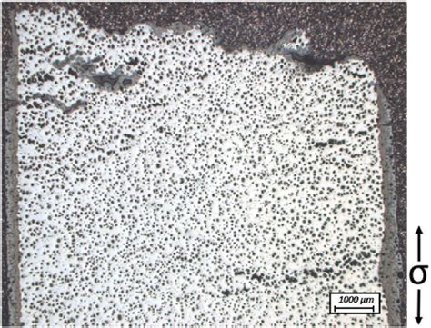 Lom Micrograph Of The 14 Mpa Creep Specimen Download Scientific Diagram