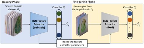 Plants Free Full Text Convolutional Neural Network For Automatic Images