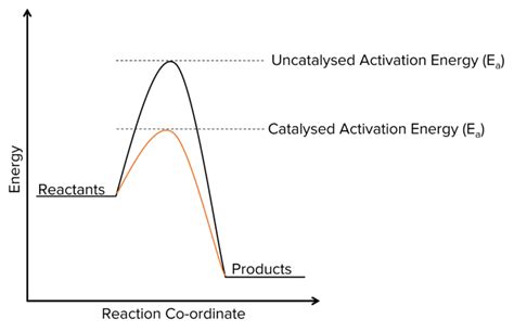 Collision Theory And Reaction Rates Mme