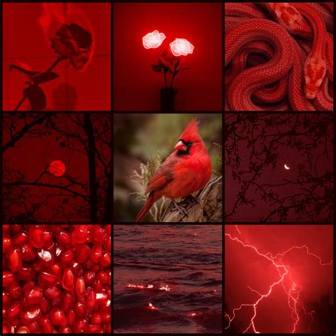 Red Moodboard Design