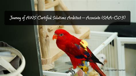 Reactjs Global States Management The Differences Between React Hooks Context Apis And Redux