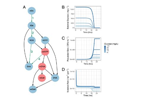 How Ecological Interactions Shape Microbial Mutation Rates To