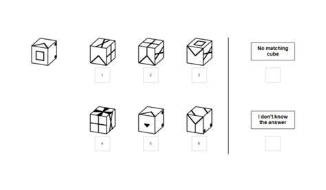 Skytest® Uk Reasoning Tests Cube Comparison Test