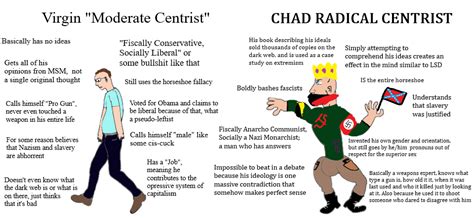 Virgin Moderate Centrist Vs Chad Radical Centrist Rjreg