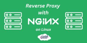 Set Up An Nginx Reverse Proxy On Linux With Node Js Application Codeforgeek