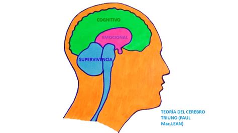 Validez De La TeorÍa Del Cerebro Triuno Rosina Uriarte