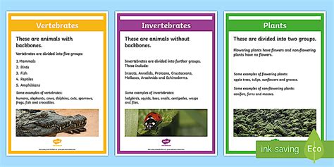 Classify Living Organisms Display Posters Classify Living Organisms