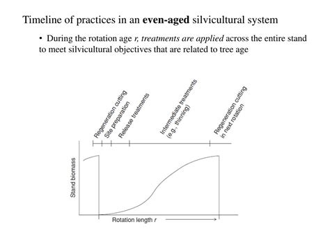 Ppt Even Aged Vs Uneven Aged Systems Powerpoint Presentation Free