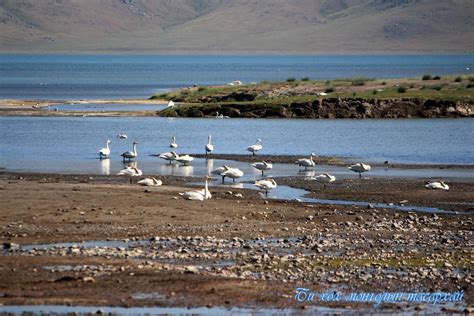 Эрхэл нуур Хөвсгөл аймаг Алаг Эрдэнэ сум Narkhuu Enkhbold Flickr