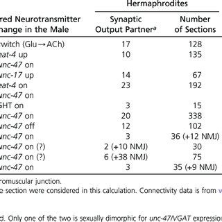 Sexual Dimorphisms Of Sex Shared Neurons Download Table