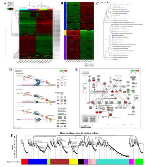 Bioinformatic Analysis For Rna Seq Data A Hierarchical Clustering