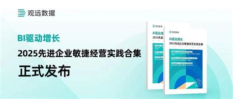 Bi数据分析 Bi工具与chatbi系统 观远数据