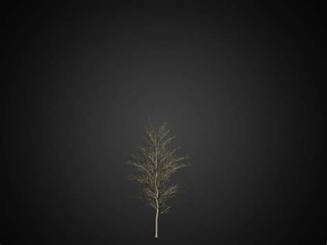 Heliosvegetation Vol1 Autumn Leafless Tree Pack Vray 3d Model Cgtrader