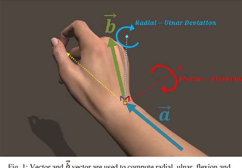 Figure 1 From Restricted Dart Throwing Movement For The Assessment Of