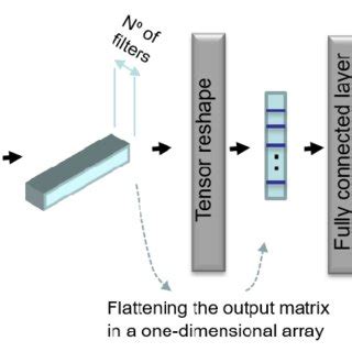 Randomized D CNN Model Proposed Model Download Scientific Diagram