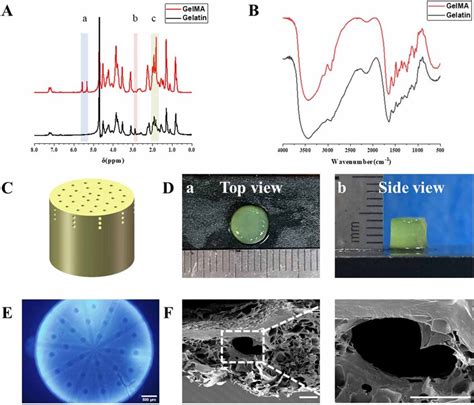 One Step 3d Printed Biomimetic Scaffold Preparation And Download