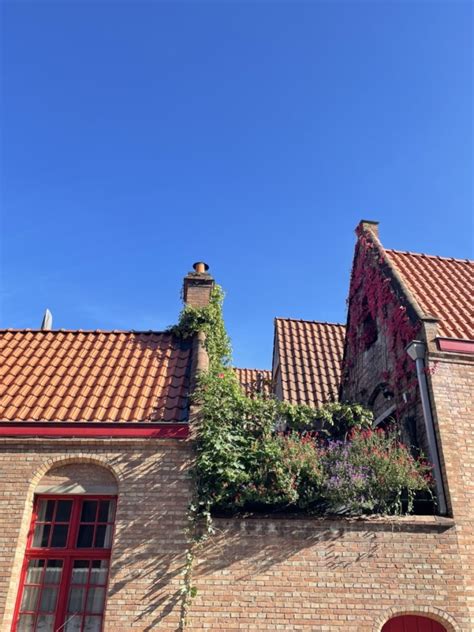 아이폰 외국 배경화면 모음집 막 이래