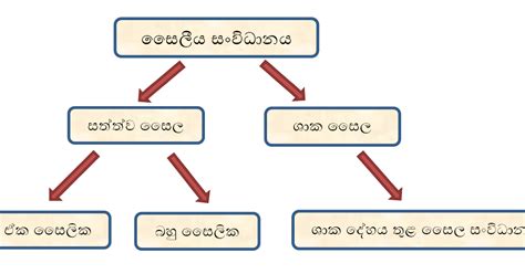 විද්‍යාව 10 ශ්‍රේණිය 8 වැනි පාඩම ජීවීන්ගේ ලාක්ෂණික සෛලීය සංවිධානය Cellular Organization