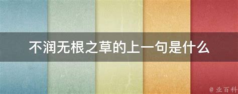 不润无根之草的上一句是什么 业百科