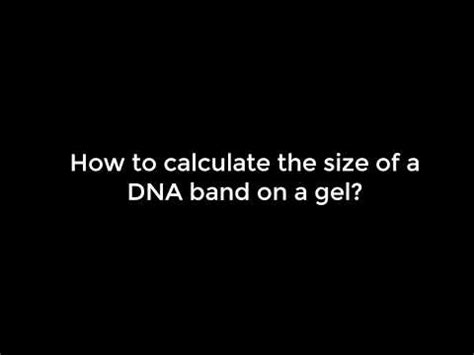 How Do You Calculate Rf Values In Chromatography Paper