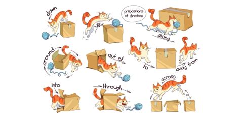 Preposition Quiz For Class 7 Quiz And Trivia