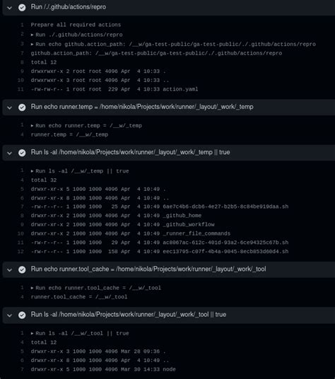 Incorrect Context Paths In Conteiner · Issue 965 · Actionsrunner · Github