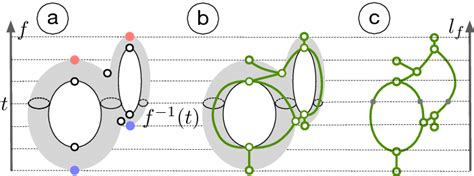 A A Height Function F M → R Defined On A Double Torus B Its Reeb