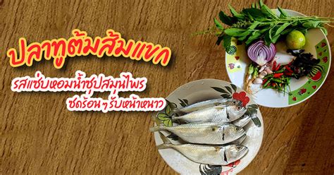 ปลาทูต้มส้มแขก สูตรใส่เห็ดโคน เปรี้ยวเผ็ดหอมใบกะเพรา