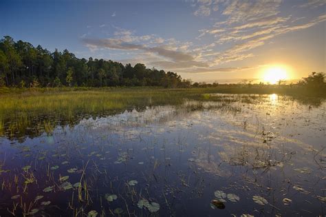 Florida Fish And Wildlife Conservation Commission On Linkedin Do You