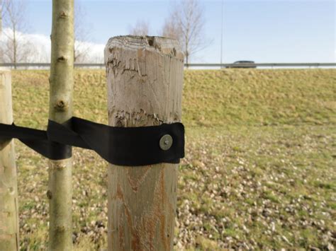 Tree Tie Greenmax Tree Anchoring